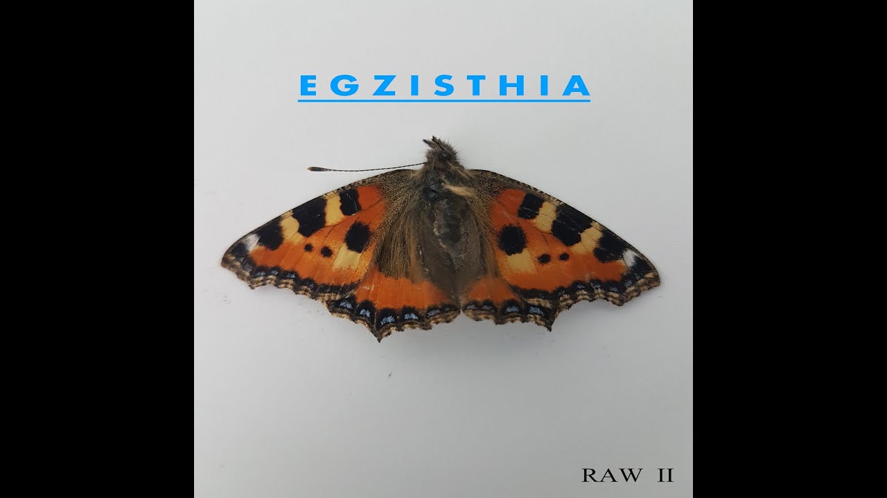 EGZISTHIA - poop on the chest - YouTube