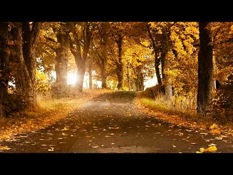 Grupaj cântări creștine 27 februarie 2022 - Mariana Someșan