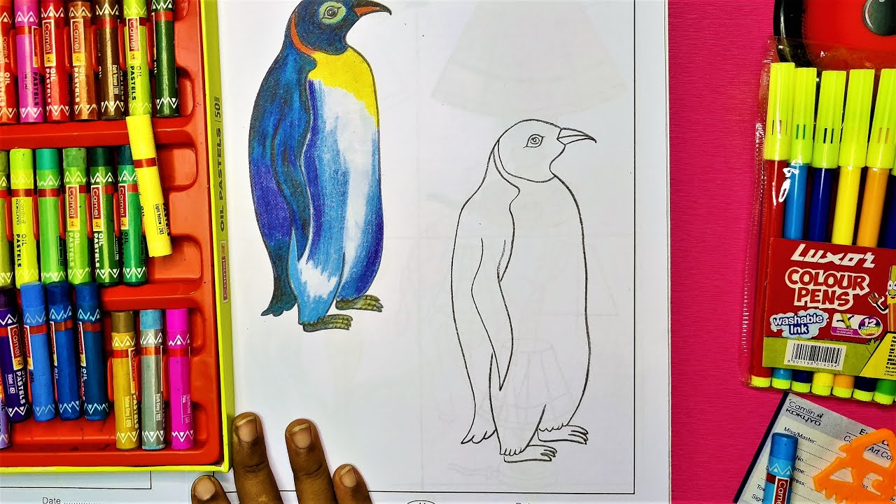 Cute Penguin Drawing || Penguin Colour Drawing || Penguin Colouring ...