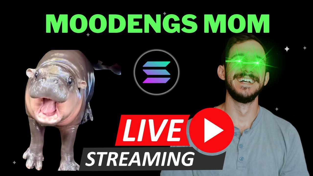Live Trading The Next Moodeng - YouTube