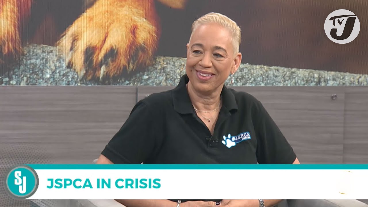 JSPCA in Crisis | TVJ Smile Jamaica - YouTube