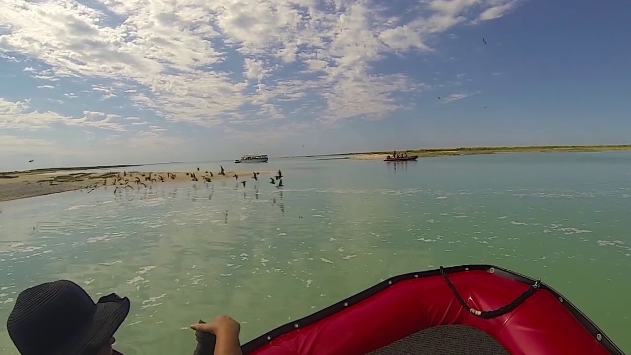 Lacepede Islands | The Kimberley Western Australia | Coral Expeditions ...