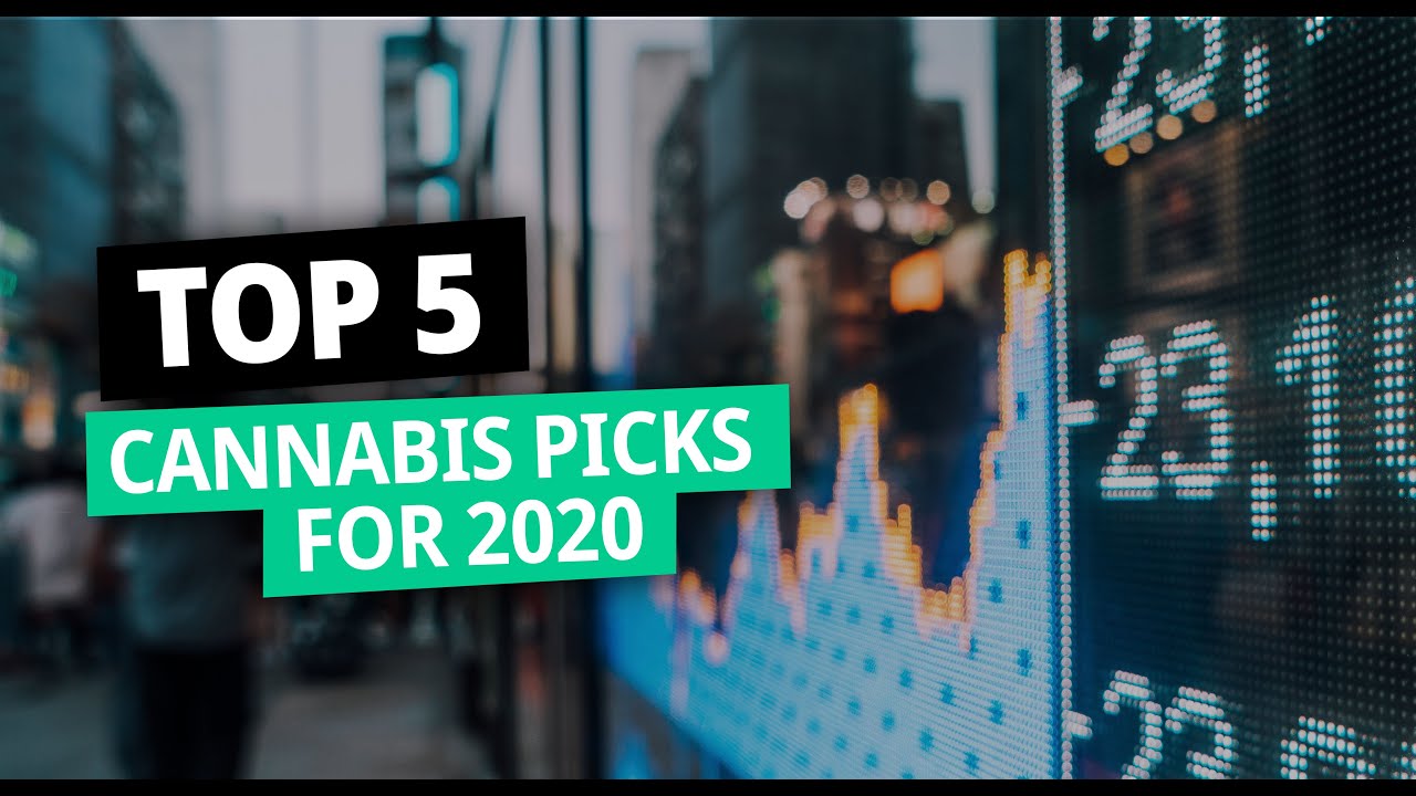 TOP 5 Cannabis Stocks for 2020 - YouTube