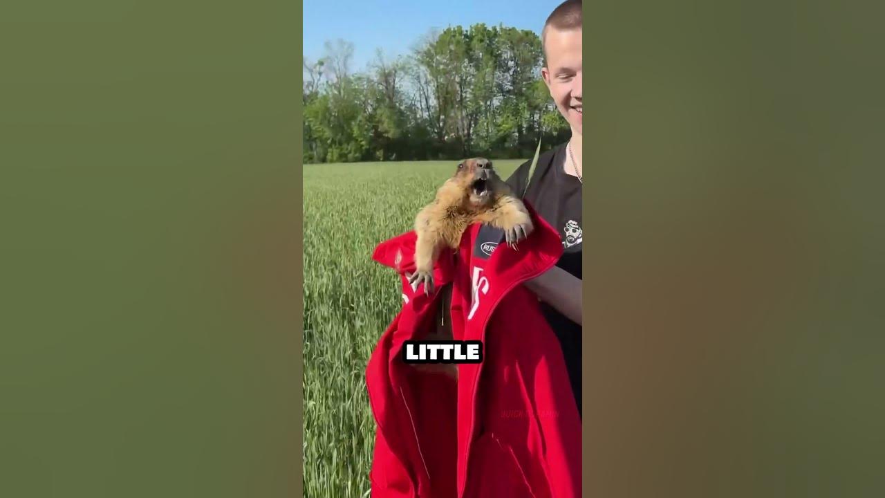 Why bro screaming like that 🤣 - YouTube