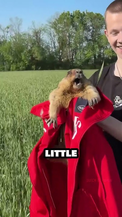 Why bro screaming like that 🤣 - YouTube