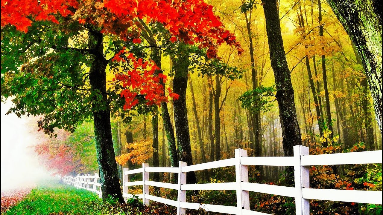 Soft Country Music - Soothing Relaxing Instrumental- Country Scenery ...