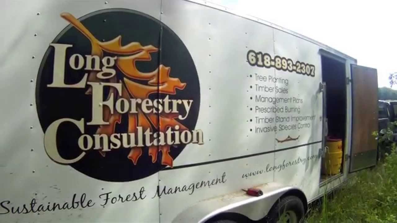Long Forestry - Forest Stand Improvement - YouTube