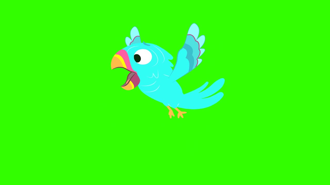 Flying Parrot Animation || Green Screen || 2d Flash Animation || For ...