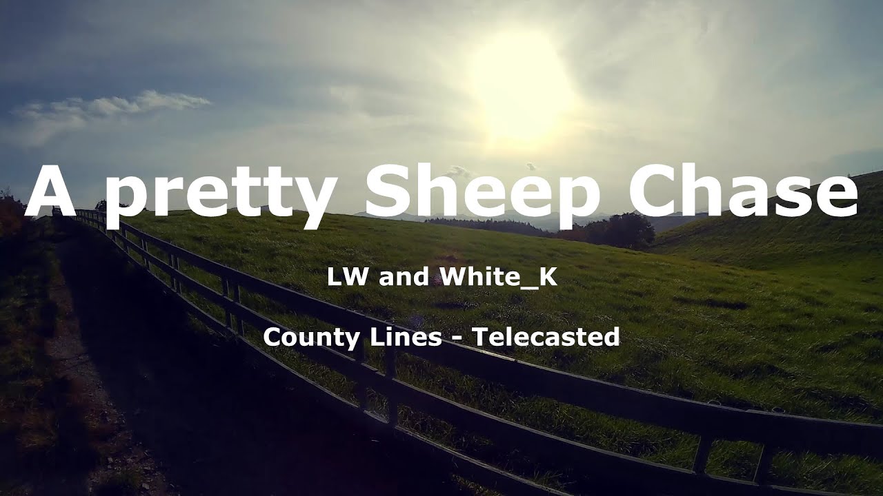 A pretty sheep chase - YouTube