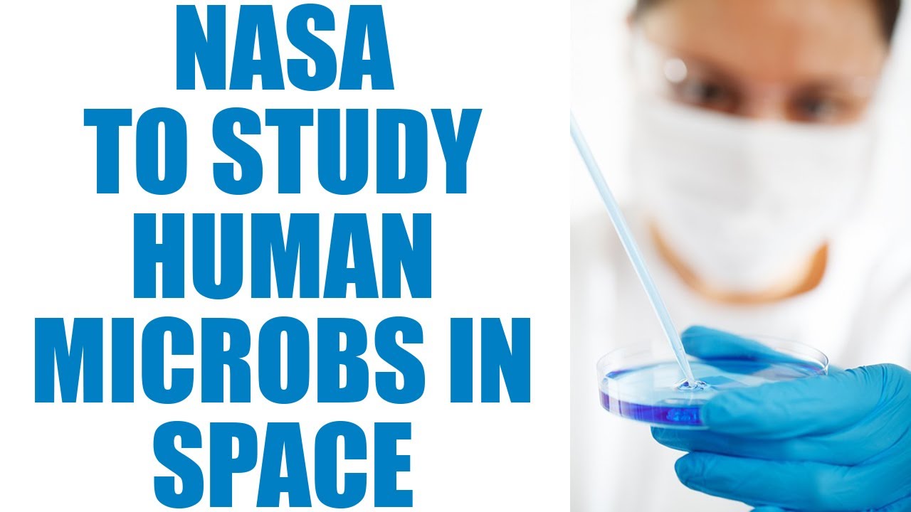NASA to study human microbes in space, can help future of space travel ...