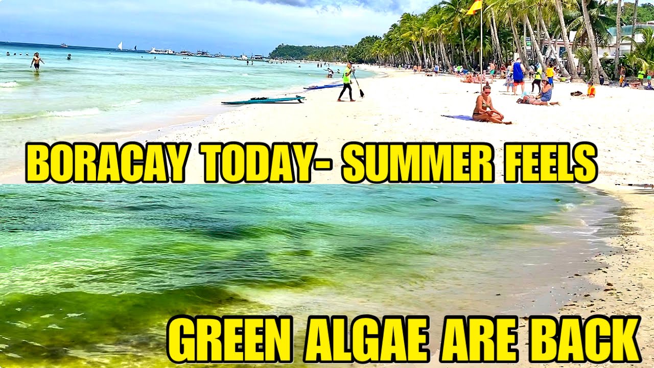 BORACAY TODAY- VERY FINE WEATHER - ALGAE ARE BACK - YouTube