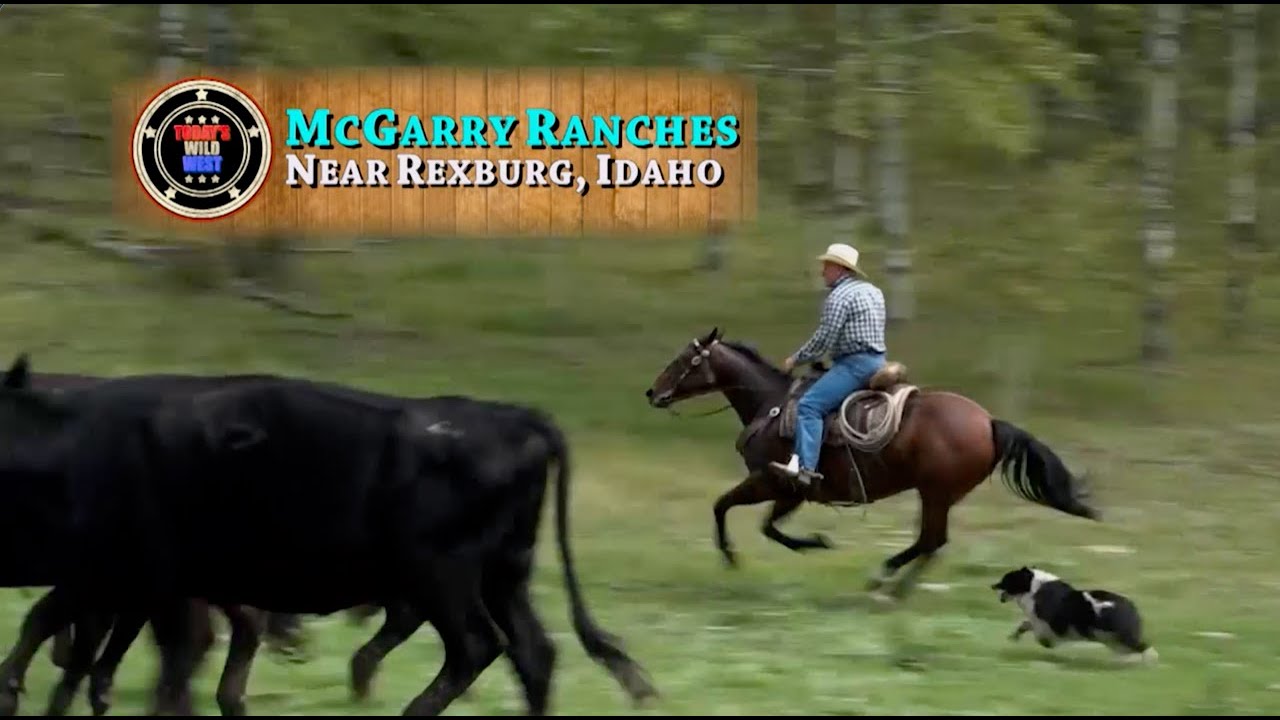 TV Worth Watching! The real deal cowboy life - in a full episode of ...