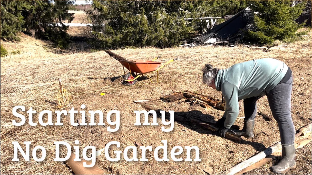 #48 Starting the no dig garden - YouTube
