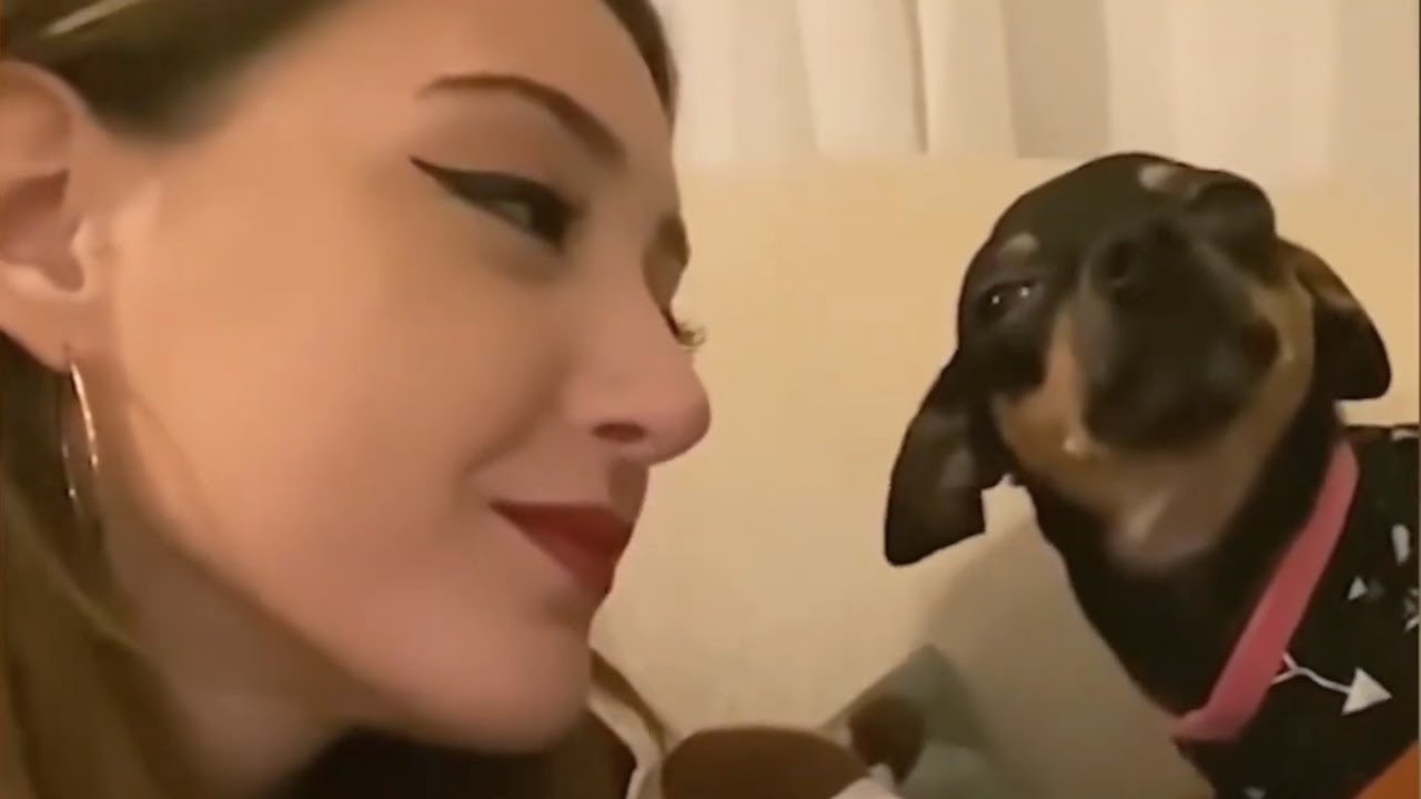 lav's RARE MEMES - YouTube