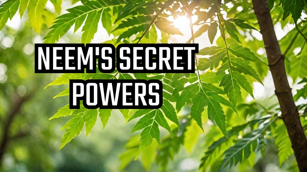 Unlocking the Spiritual Secrets of the Neem Tree - YouTube