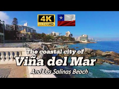 Walking tour Vina del Mar and Las Salinas beach | Chile | 4K