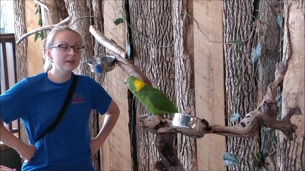 Tickle tickle - YouTube