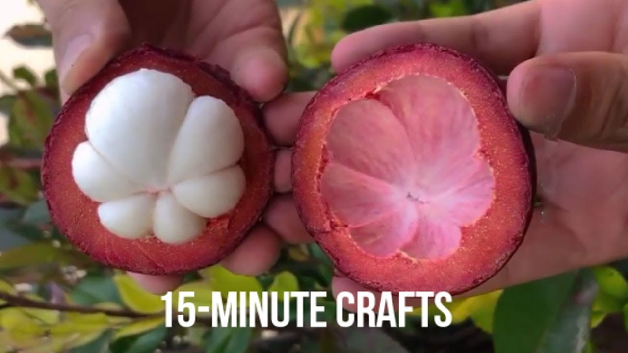 Amazing Beautiful Natural - fruit farming #01 - YouTube