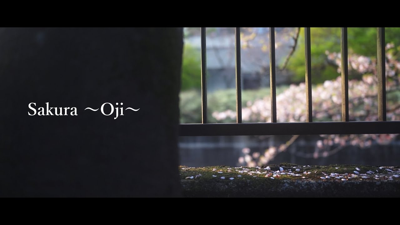 Sakura～Oji～/ Cinematic Music Vlog (SONY α7Ⅲ / 35mm F1.4 GM ) - YouTube