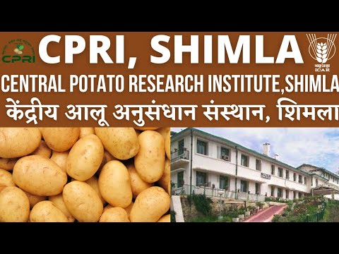 ICAR- CENTRAL POTATO RESEARCH INSTITUTE, SHIMLA | CPRI, SHIMLA ...