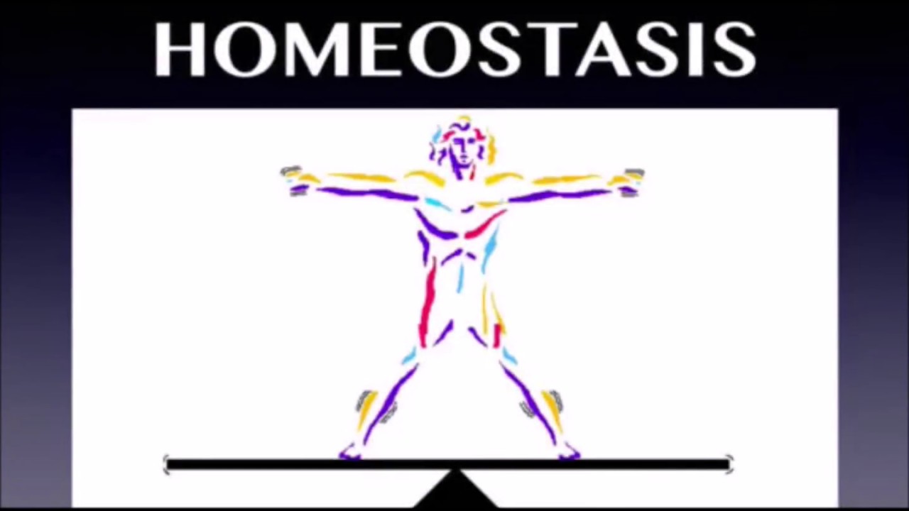 proyecto biognosis - YouTube
