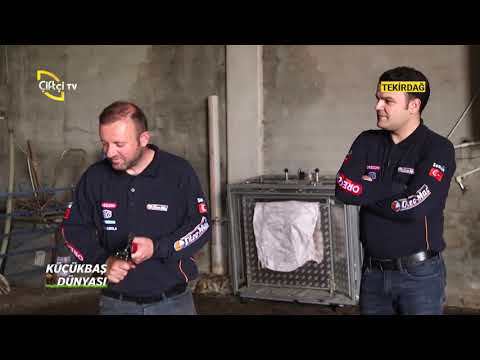 HEINIGER Xpert & ONE Koyun Kırkma Makinesi Çiftçi TV Küçükbaş Dünyası