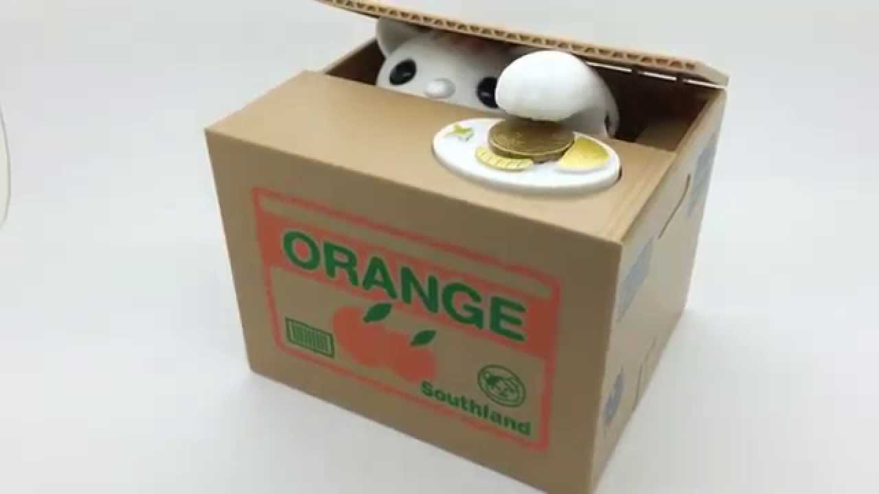 Stelende kat spaarpot - YouTube