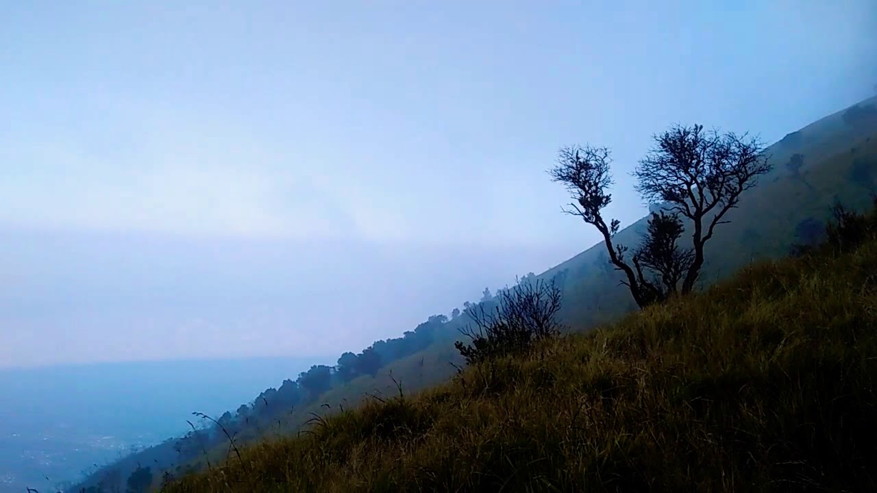 MT merbabu 3142 mdpl (pos bayangan) - YouTube