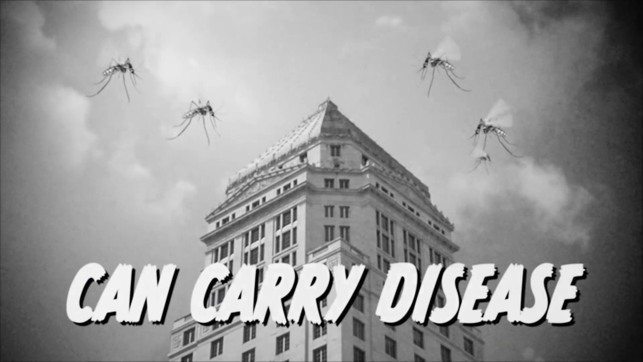 Mosquito Control TV Spot- Retro Horror Movie- Fight the Bite! - YouTube