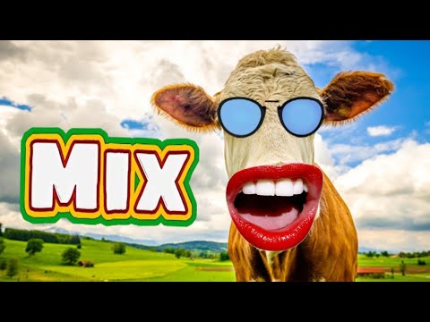 AMAZING COW DANCE 1 | Cow Song & Cow Videos 2022 🐮 | By Cow Reaction ...