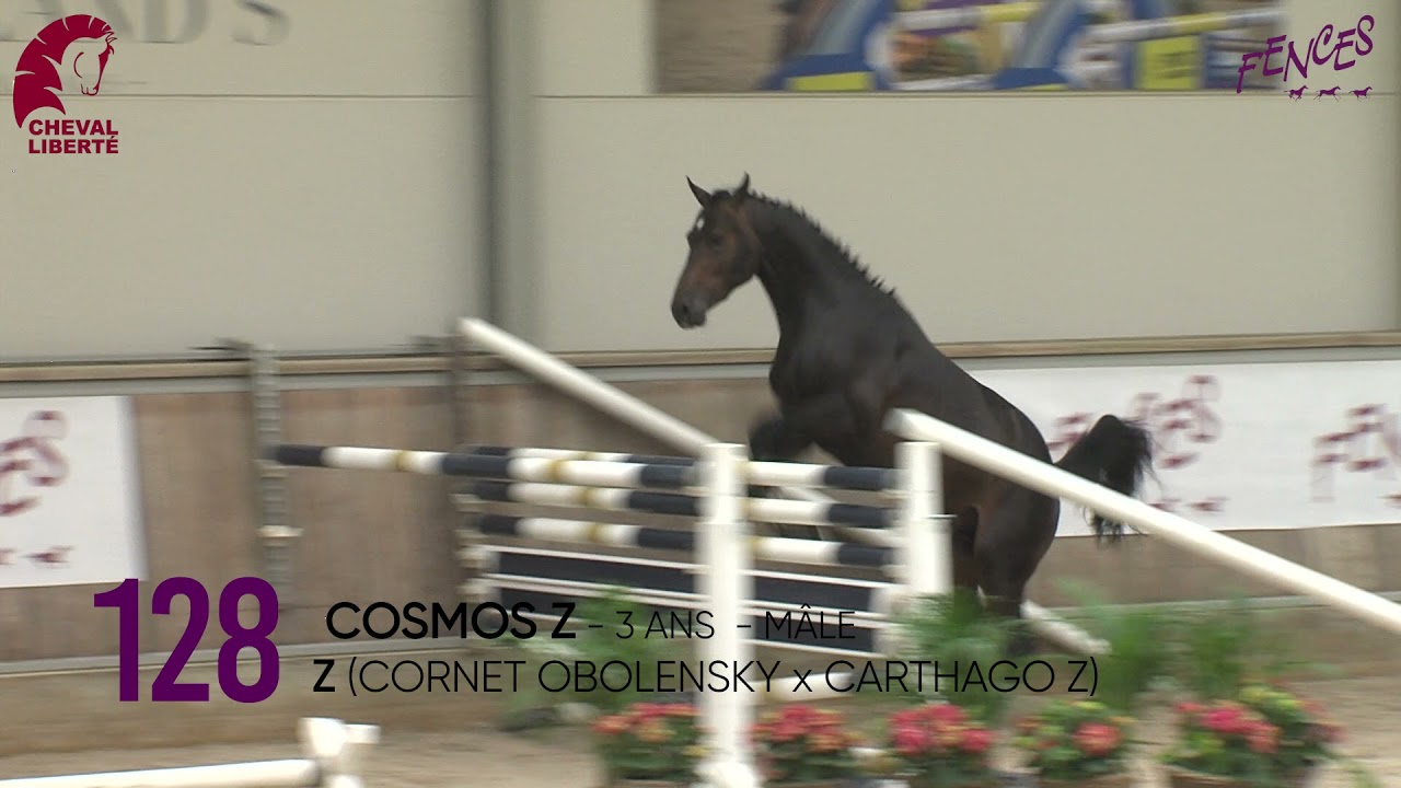 128 COSMOS Z - Ventes de Service 2021 - YouTube