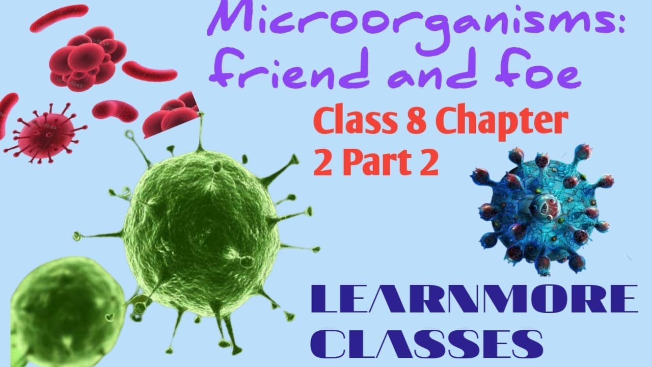 MICROORGANISMS FRIEND AND FOE | What is microorganisms | class 8 ...