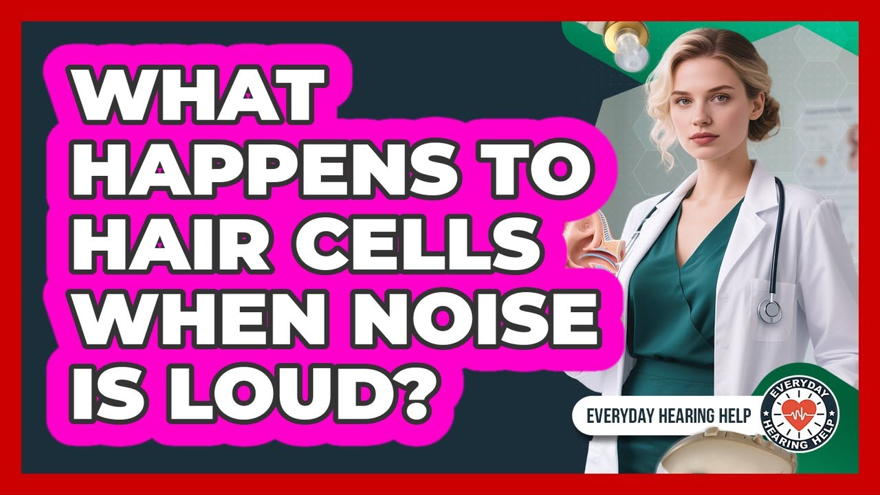 What Happens To Hair Cells When Noise Is Loud? - Everyday Hearing Help ...