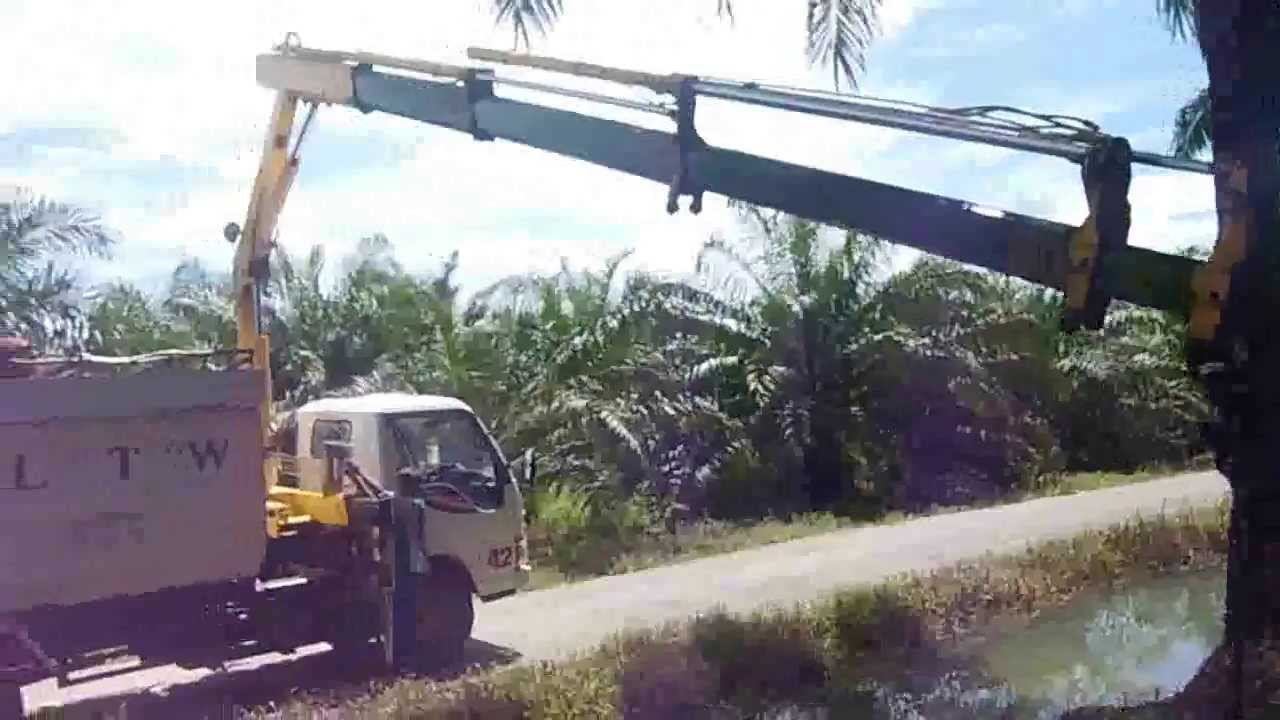 Dump crane muat sawit - YouTube