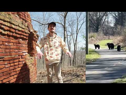 I Thought a Bear Was Chasing Me