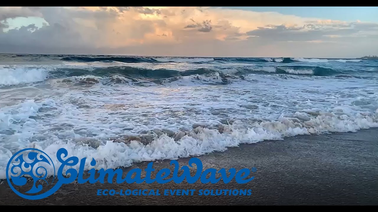 Climate Wave Enterprises at Tani Tei En Open Garden - YouTube