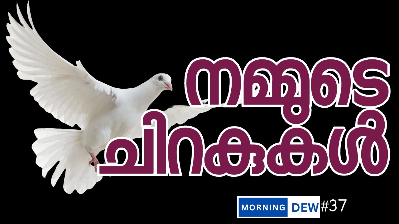 MORNING DEW #37 | DAILY DEVOTION WITH PASTOR SUNNY JOHN - YouTube