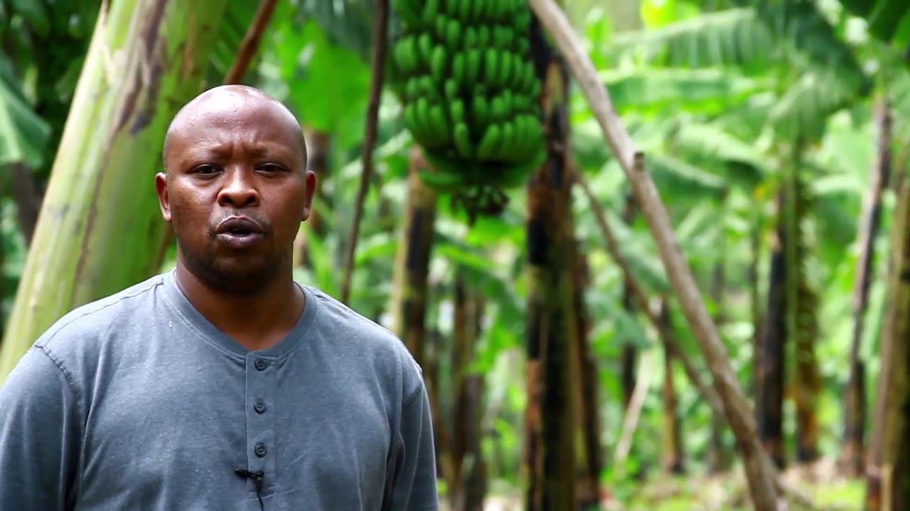 patrick rukundo laminin - YouTube