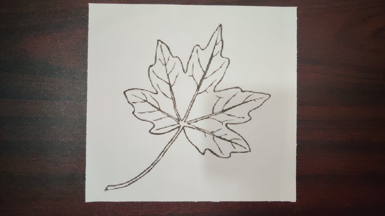 How to draw a Leaf / very easy step by step / Pencil Drawing - YouTube