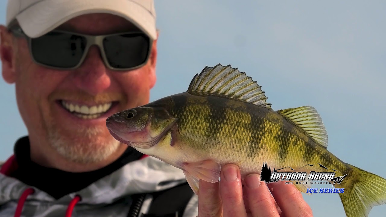 Wisconsin Perch on Ice - YouTube