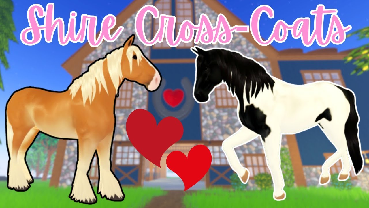 BREEDING MY FAVOURITE SHIRE CROSS COATS | Wild Horse Islands - YouTube