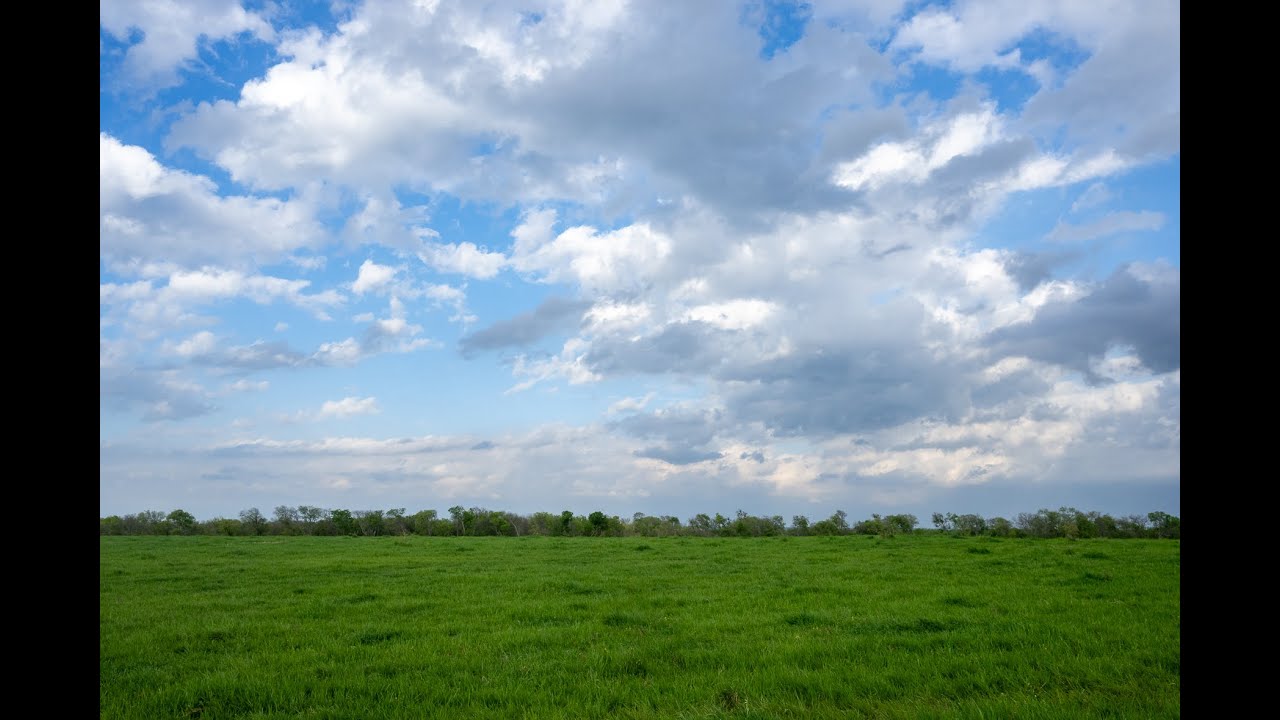 Rotational Grazing at Pride Ranch - YouTube