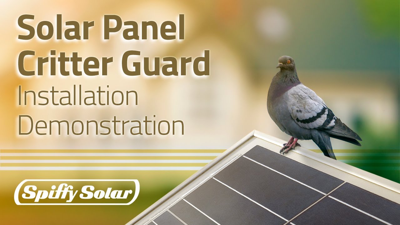 How to install solar protection (critter guard) with Spiffy Solar Clips ...