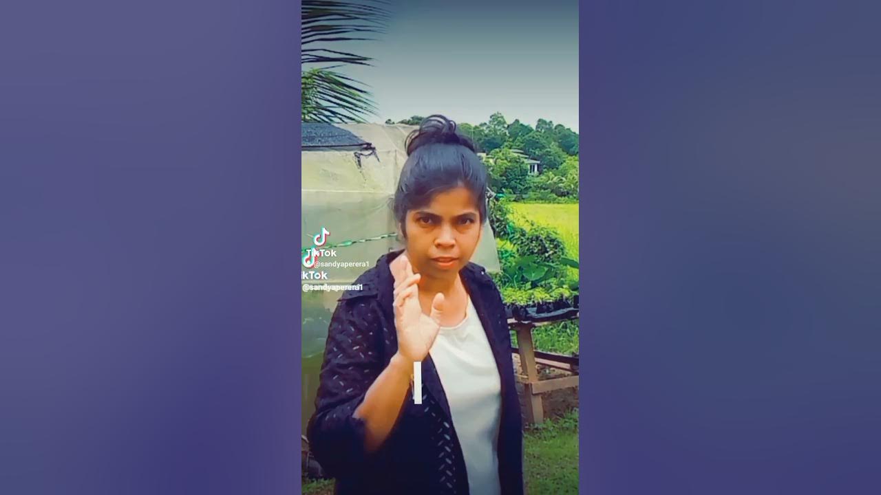 අමු මිරිස් පැල M I C H hy 1 - YouTube