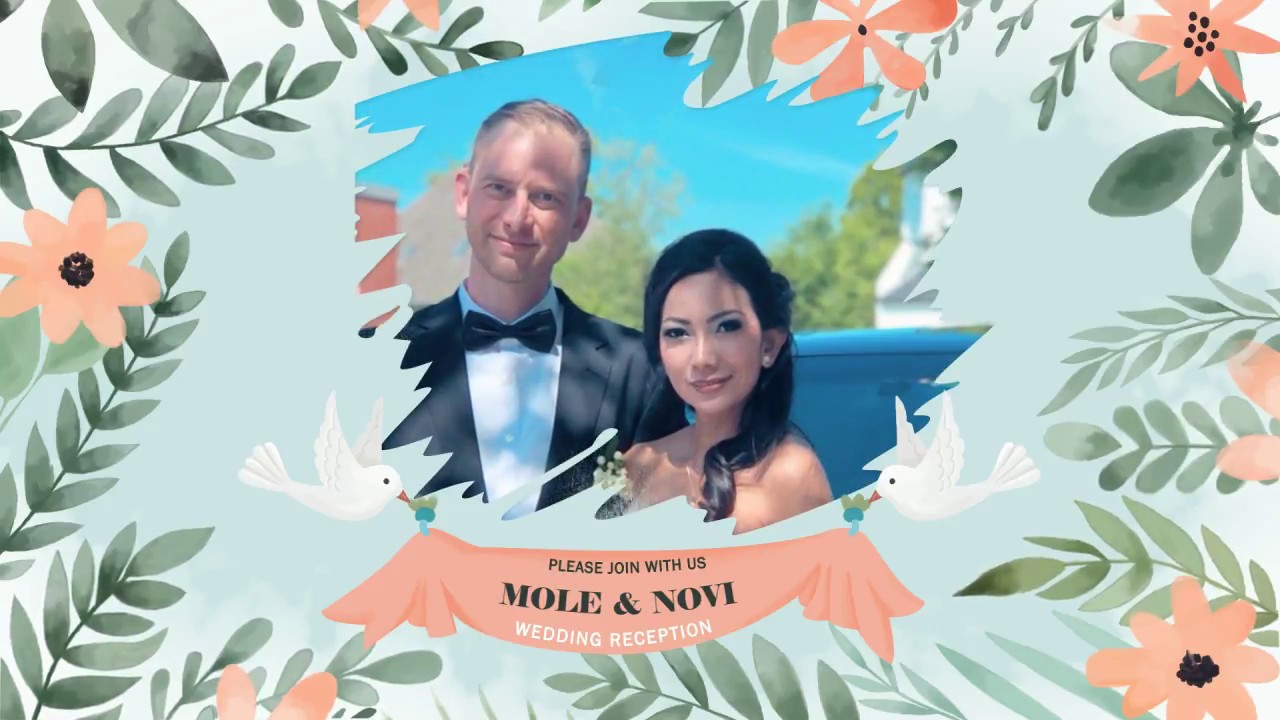 Wedding Reception NOVI & MOLE - YouTube