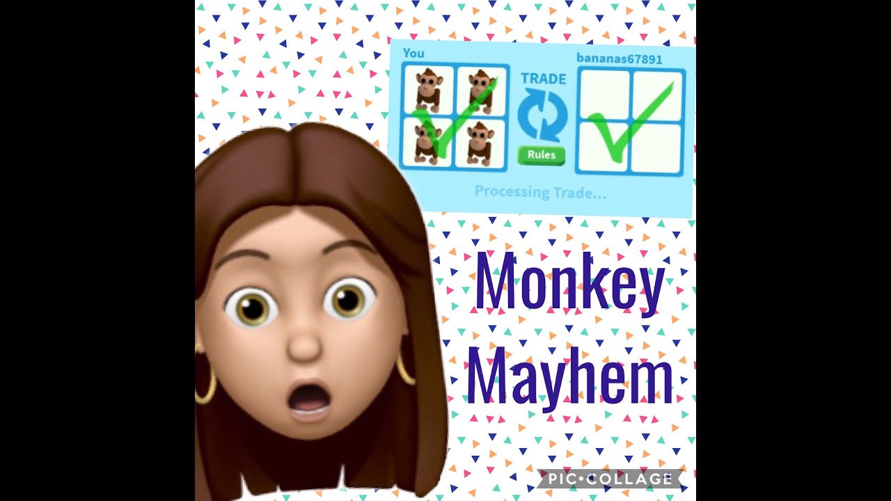 Giving Away 4 Monkeys!? ~ Monkey Mayhem ~ Ep. 2 - YouTube