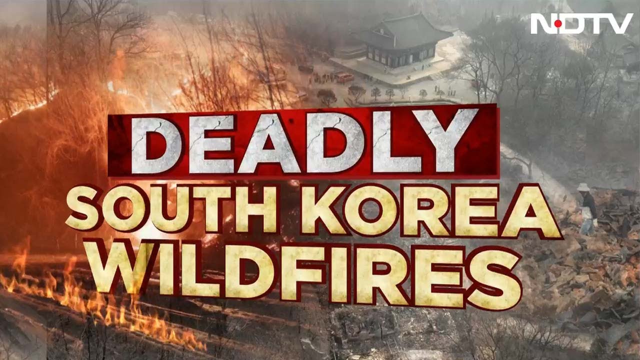 South Korea Fire | 24 Dead, Over 40,000 Acres Burning: South Korea's ...