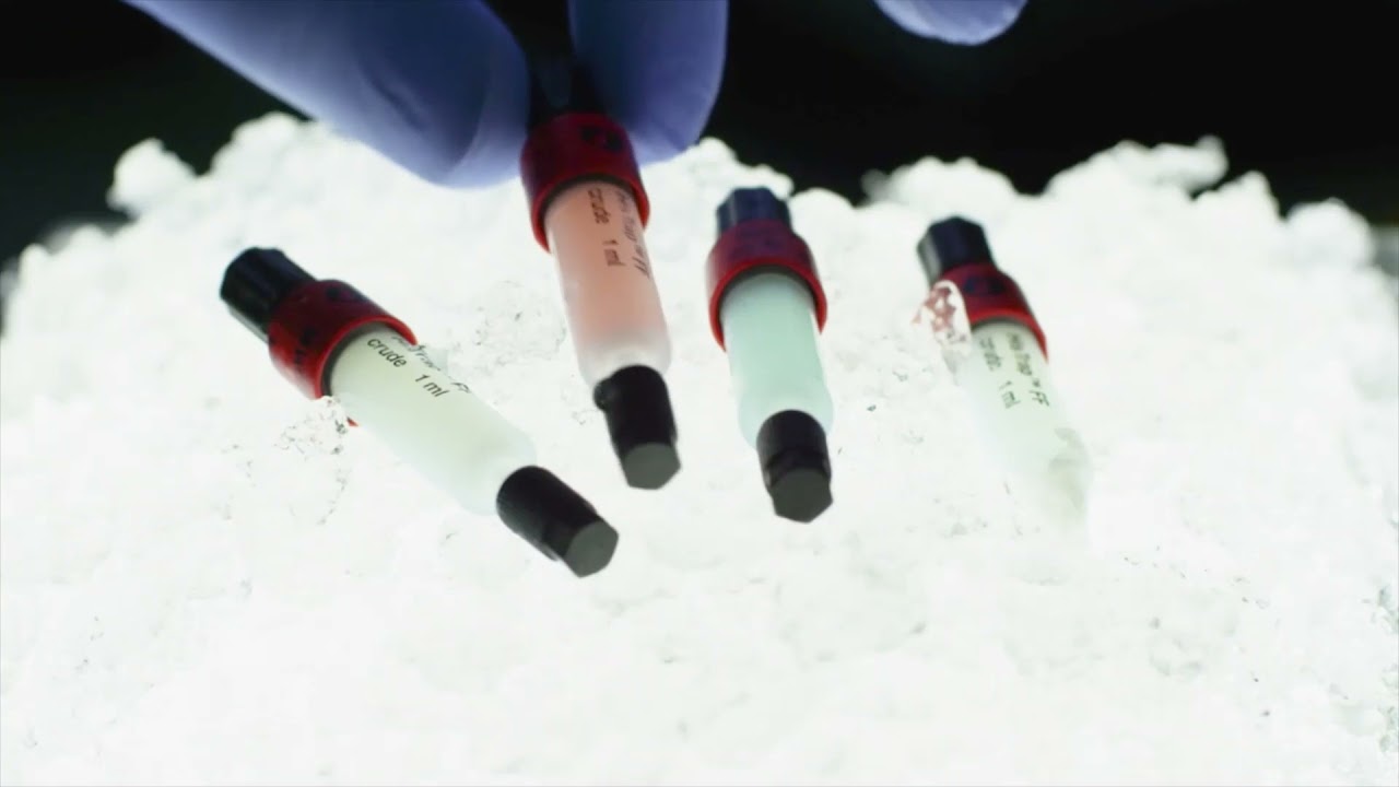 BiCT - Bioindustry Innovation - YouTube