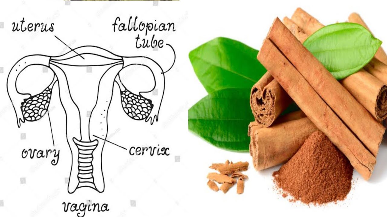 Cinnamon Yana Magance Sanyi Na Maza Kowanne Iri Na Maza Da Mata YouTube cinnamon-yana-magance-sanyi-na-maza-kowanne-iri-na-maza-da-mata-youtube