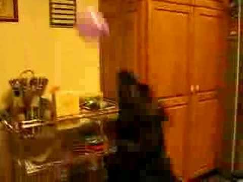 Loki balloon ball - YouTube